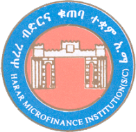 Harar Microfinance Institute S.C.